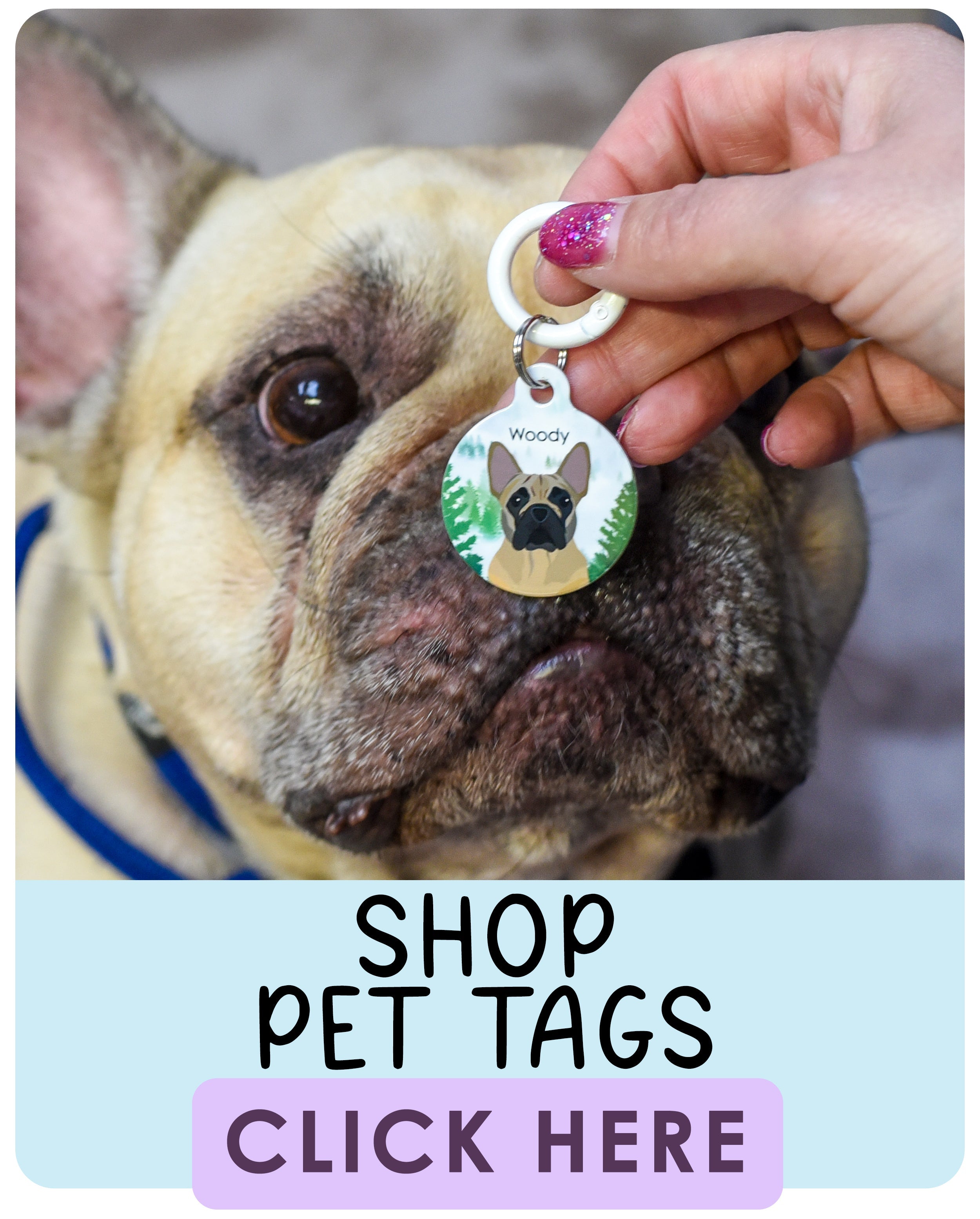 Buy Dog ID Tags UK Personalised Dog Name Tags for Pet Collar – Hoobynoo ...