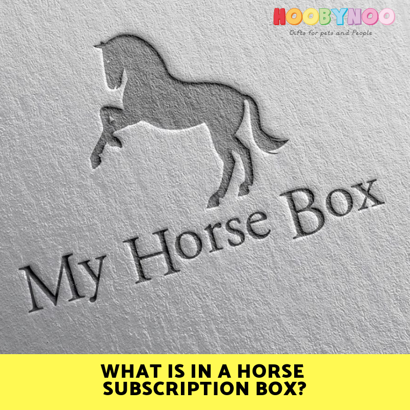 What is in a Horse Subscription Box? – Hoobynoo.co.uk