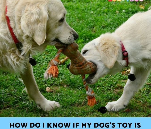 How do I know if my Dog's Toy is Toxic or Unsafe? – Hoobynoo.co.uk