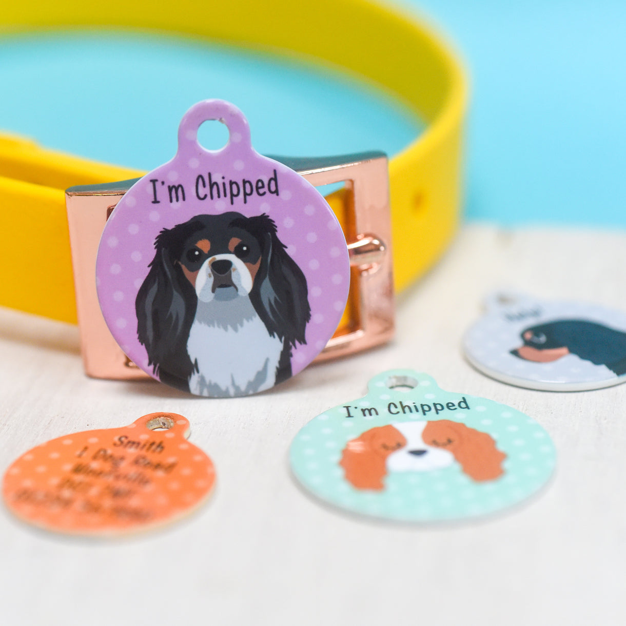 Personalised Cavalier King Charles Spaniel Dog Tag – Hoobynoo.co.uk