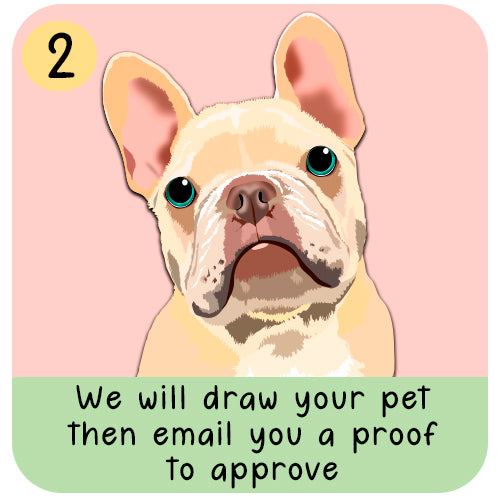 Draw My Pet – Hoobynoo.co.uk