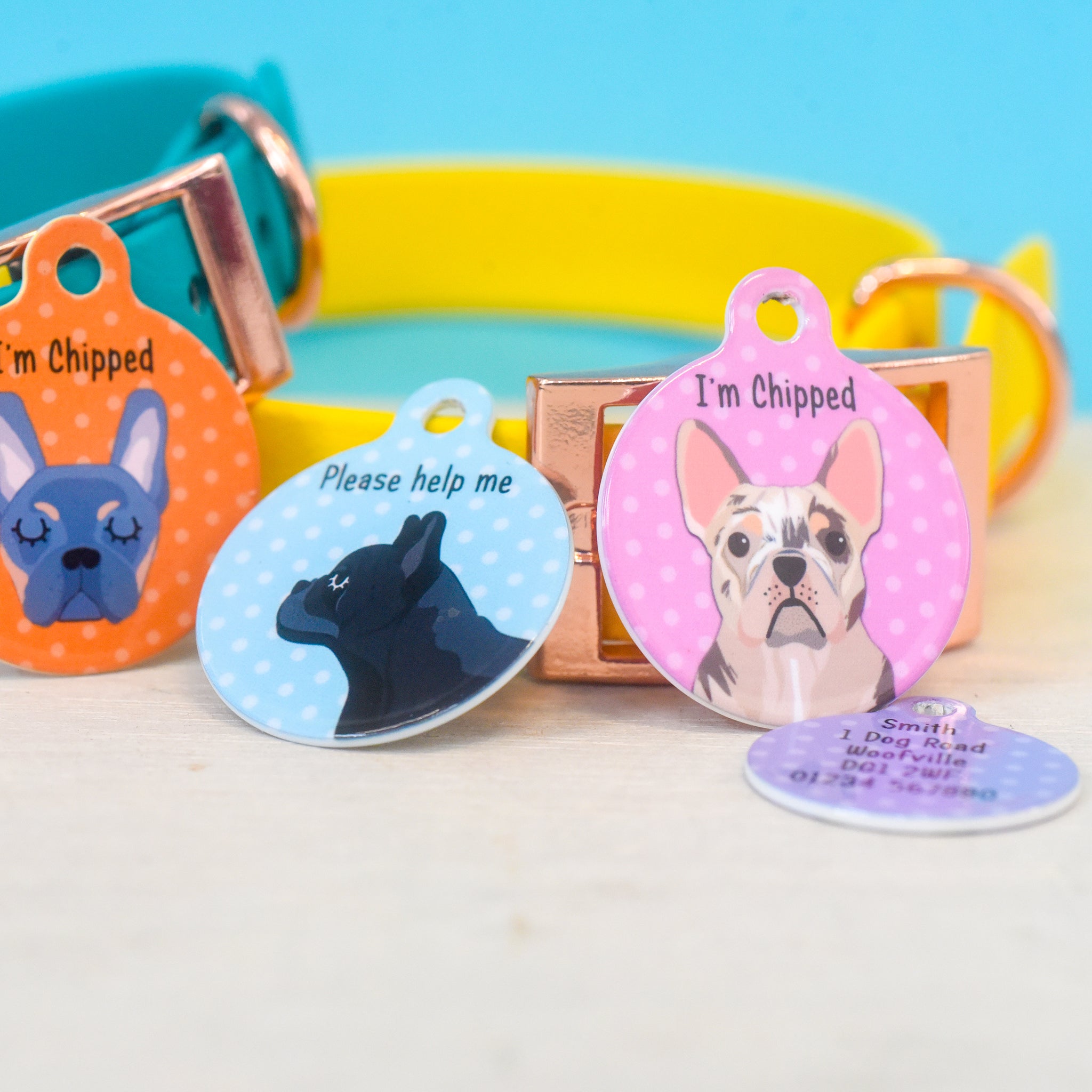 French Bulldog ID Pet Tag - Hoobynoo.co.uk
