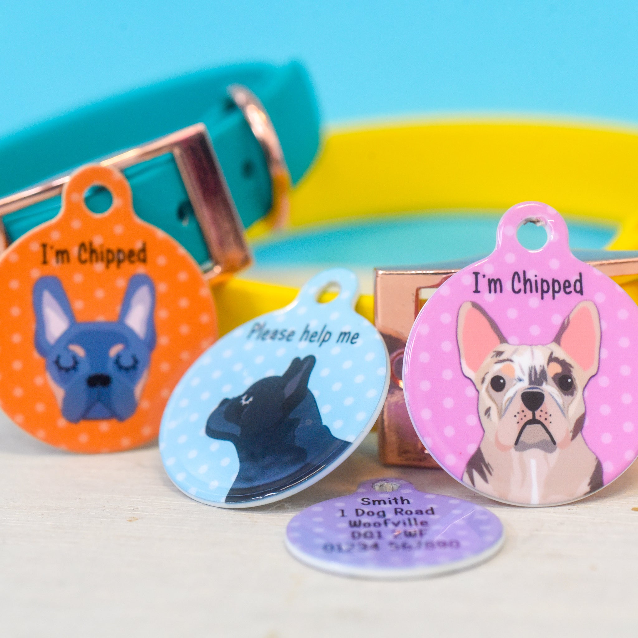 French Bulldog ID Pet Tag - Hoobynoo.co.uk