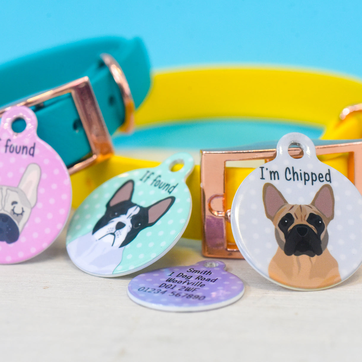 French Bulldog ID Pet Tag – Hoobynoo.co.uk