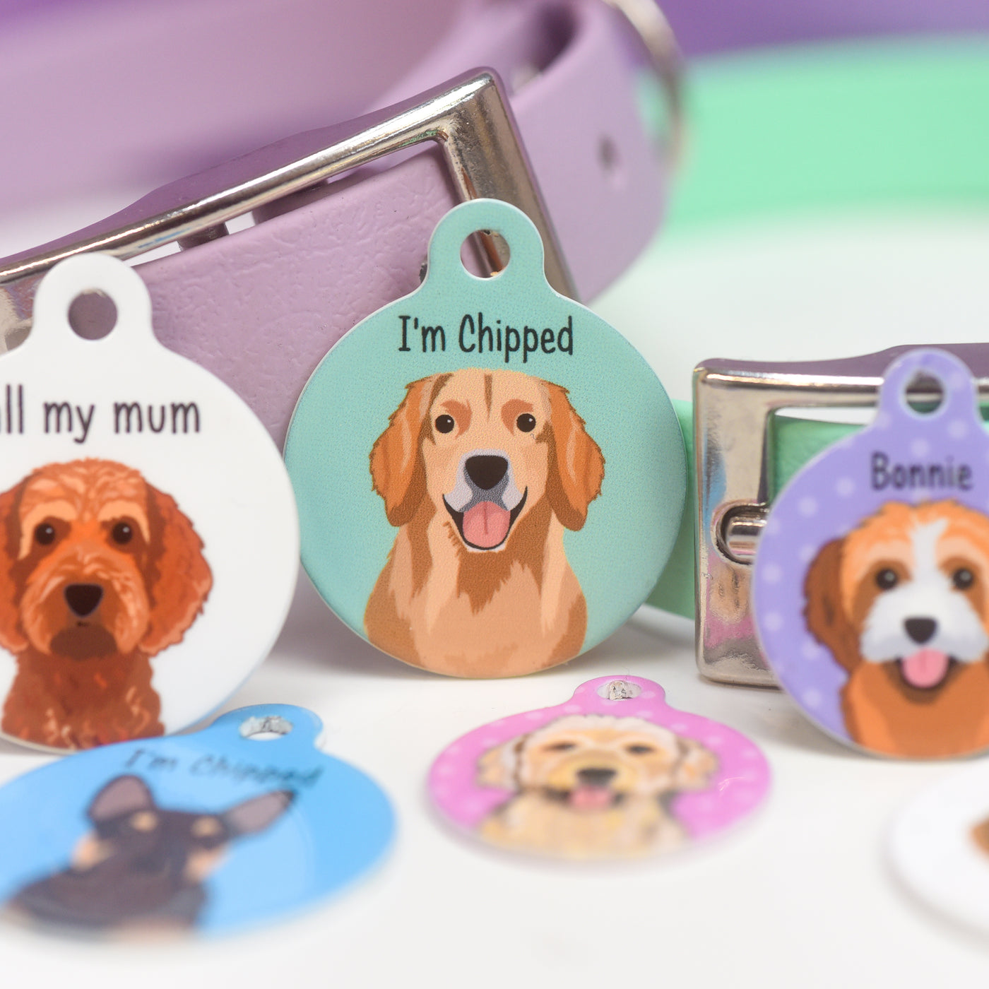 Dog Name Tags for UK Pets Dog Collars and Cat Accessories | Hoobynoo