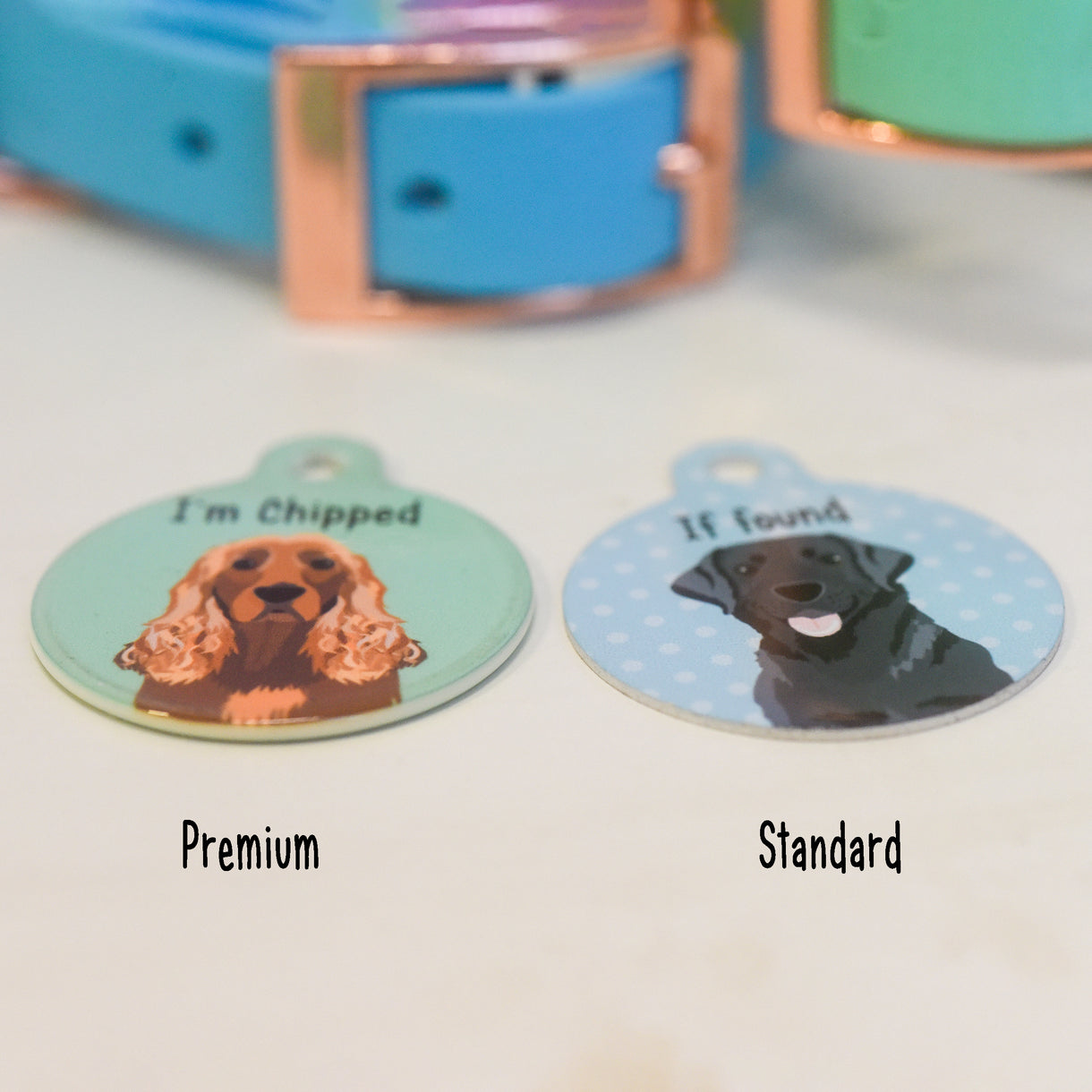 Dog Tag Border Collie Personalised Pet ID Tags Dogs Collar ID Disc ...