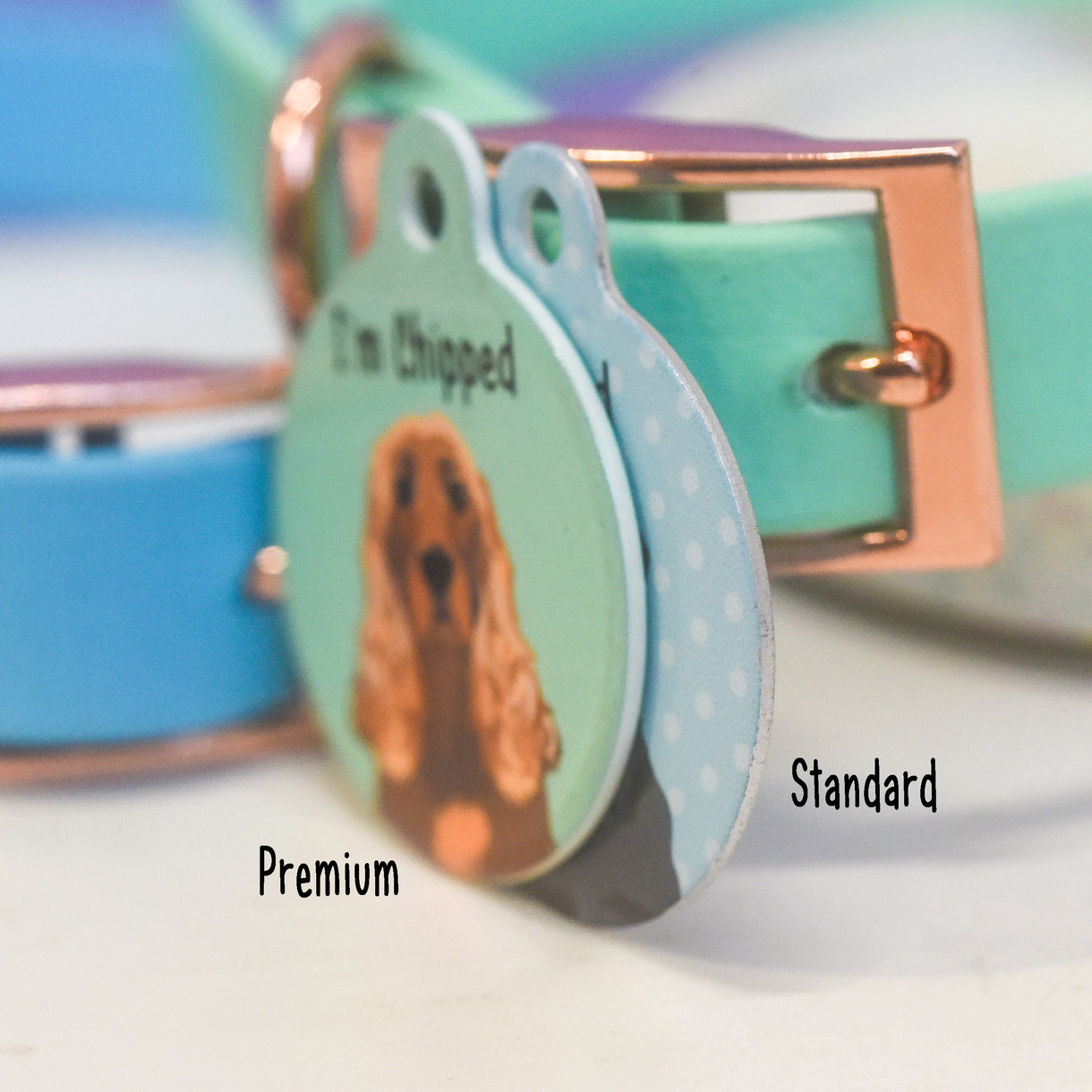 Dog Tag Border Collie Personalised Pet ID Tags Dogs Collar ID Disc ...