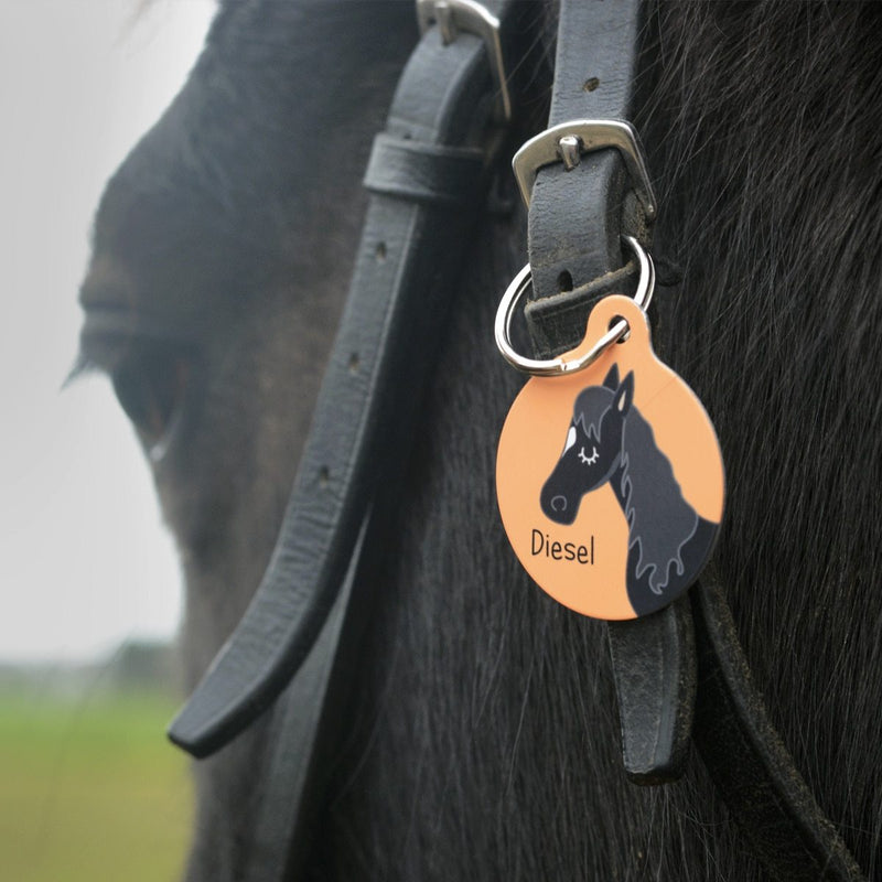 Equestrian Horse ID Tag - Horse Bridle Tag - Equine Name Tag - Horses ...