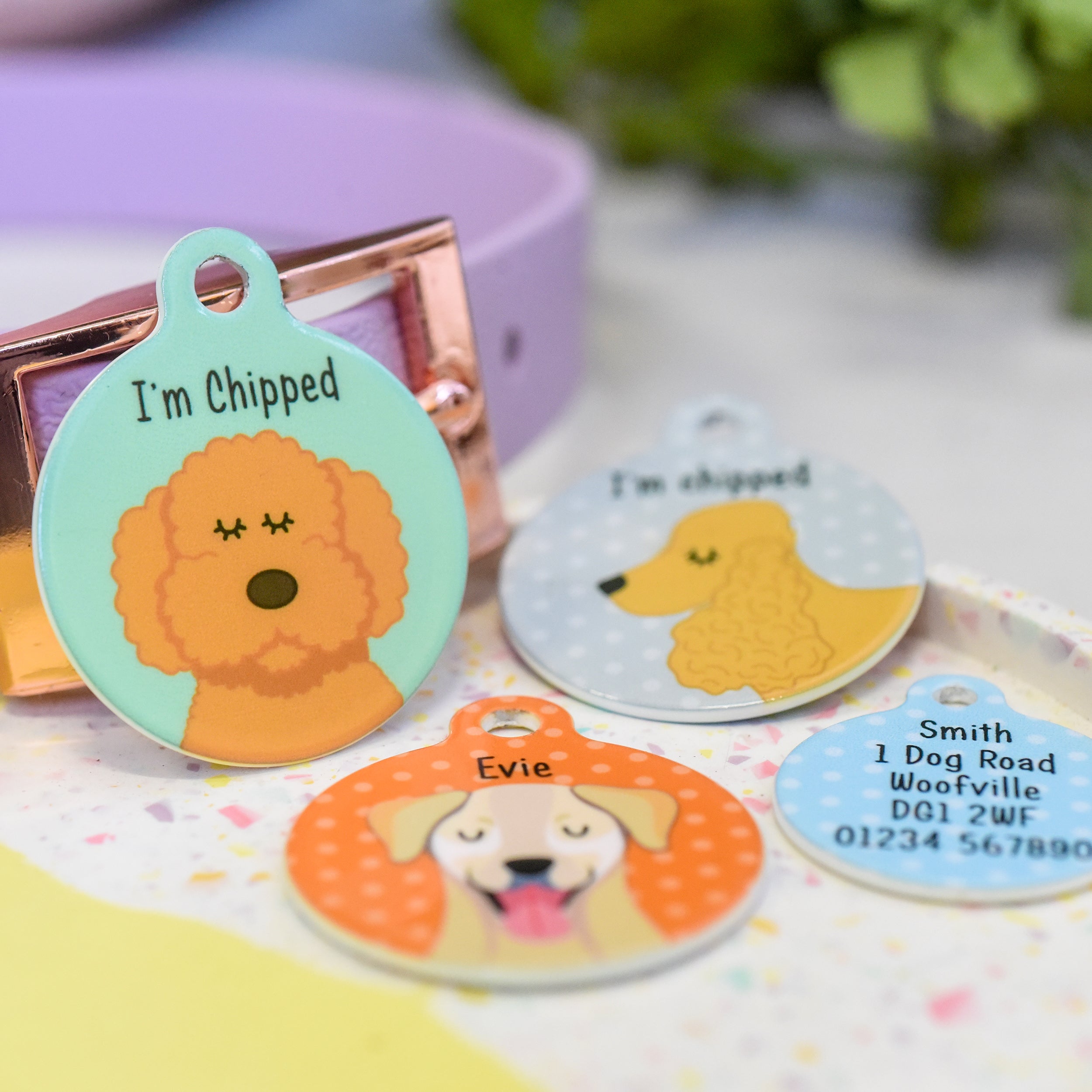 Buy Dog ID Tags UK Personalised Dog Name Tags for Pet Collar – Hoobynoo ...