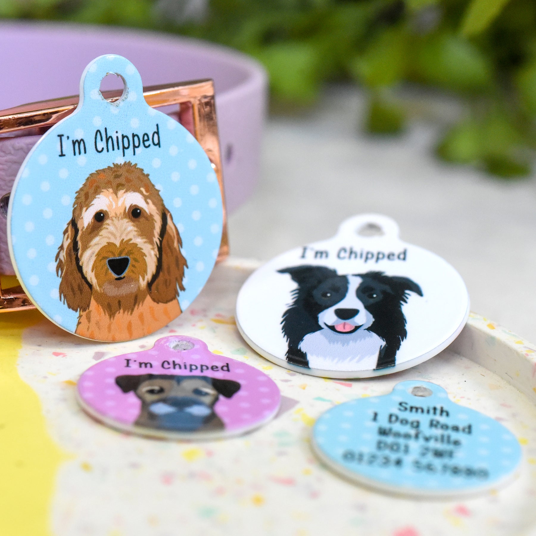 Dog Name Tags for UK Pets Dog Collars and Cat Accessories | Hoobynoo