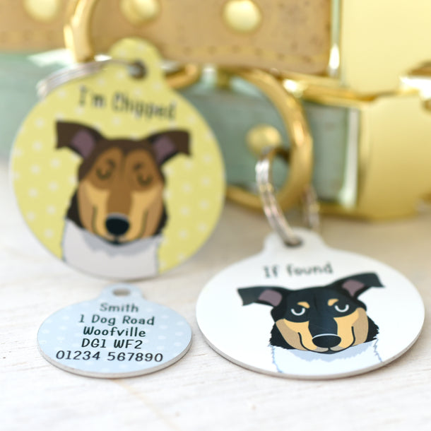 Smooth Collie Dog Tag – Hoobynoo.co.uk