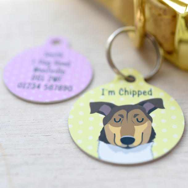 Smooth Collie Dog Tag – Hoobynoo.co.uk